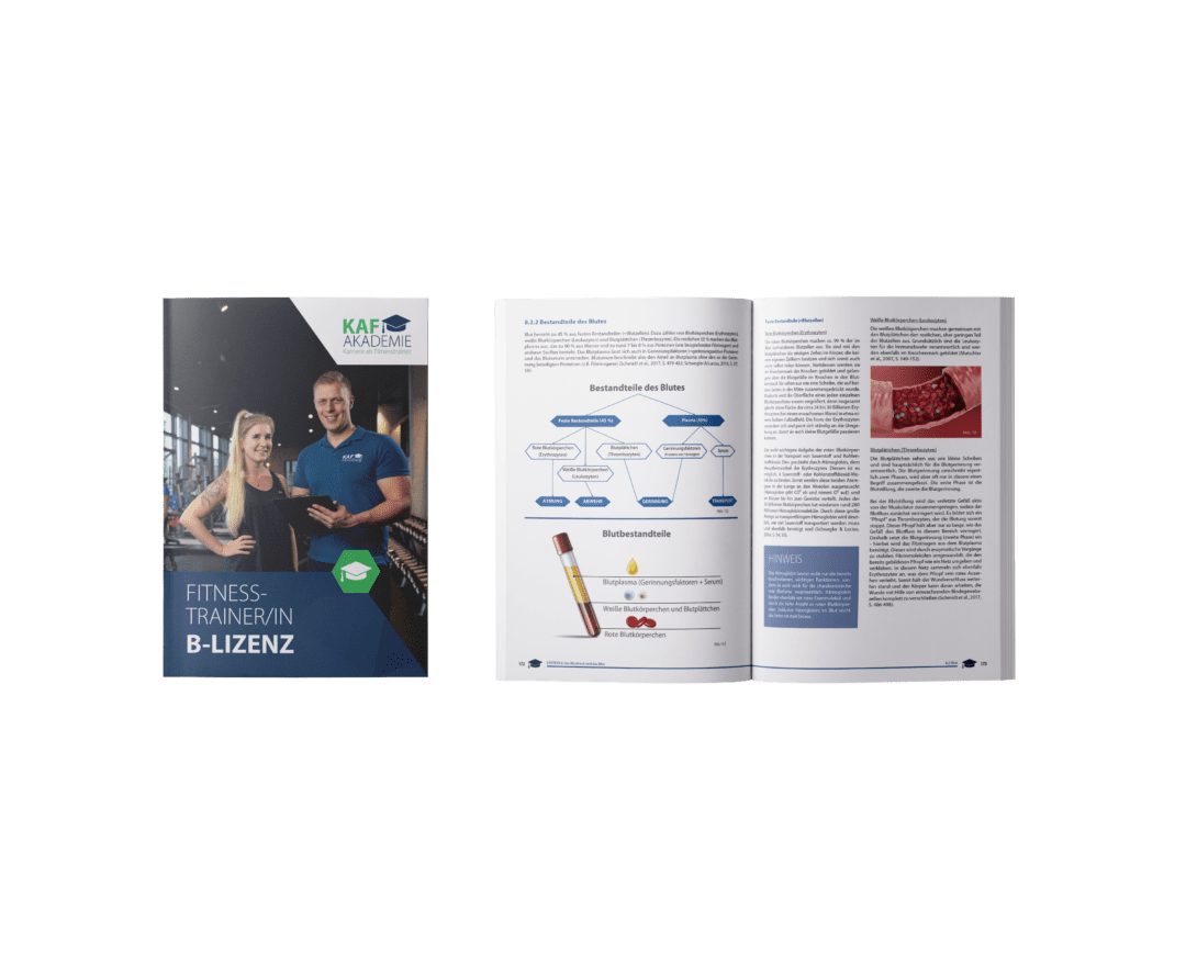 Fitnesstrainer C-Lizenz – KAF Akademie – Fitnesstrainer Ausbildung